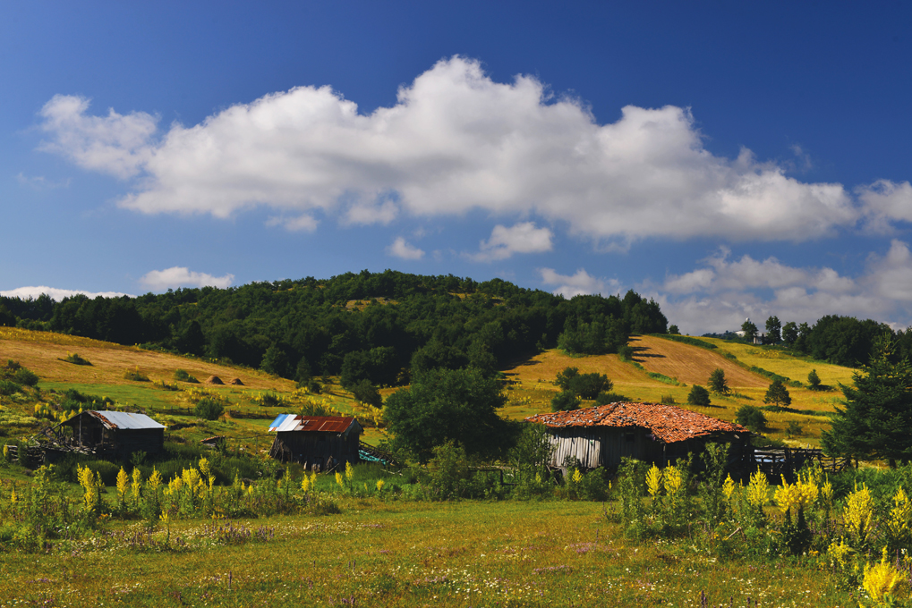 SAMANLI DAĞLARI -1(AYVAZPINAR - FINDIK TEPESİ)